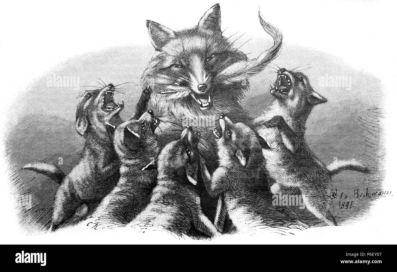 Ludwig beckmann Black and White Stock Photos & Images - Alamy