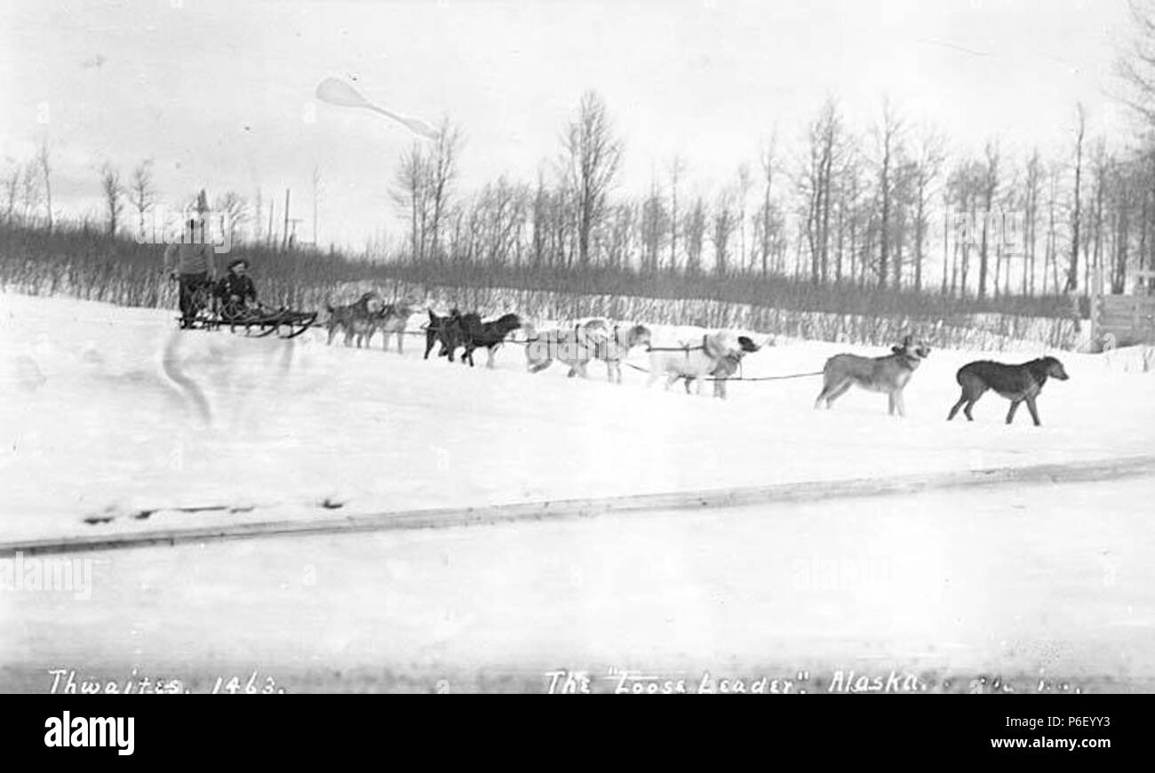 Eskimo Dog Sledding High Resolution Stock Photography and Images - Alamy
