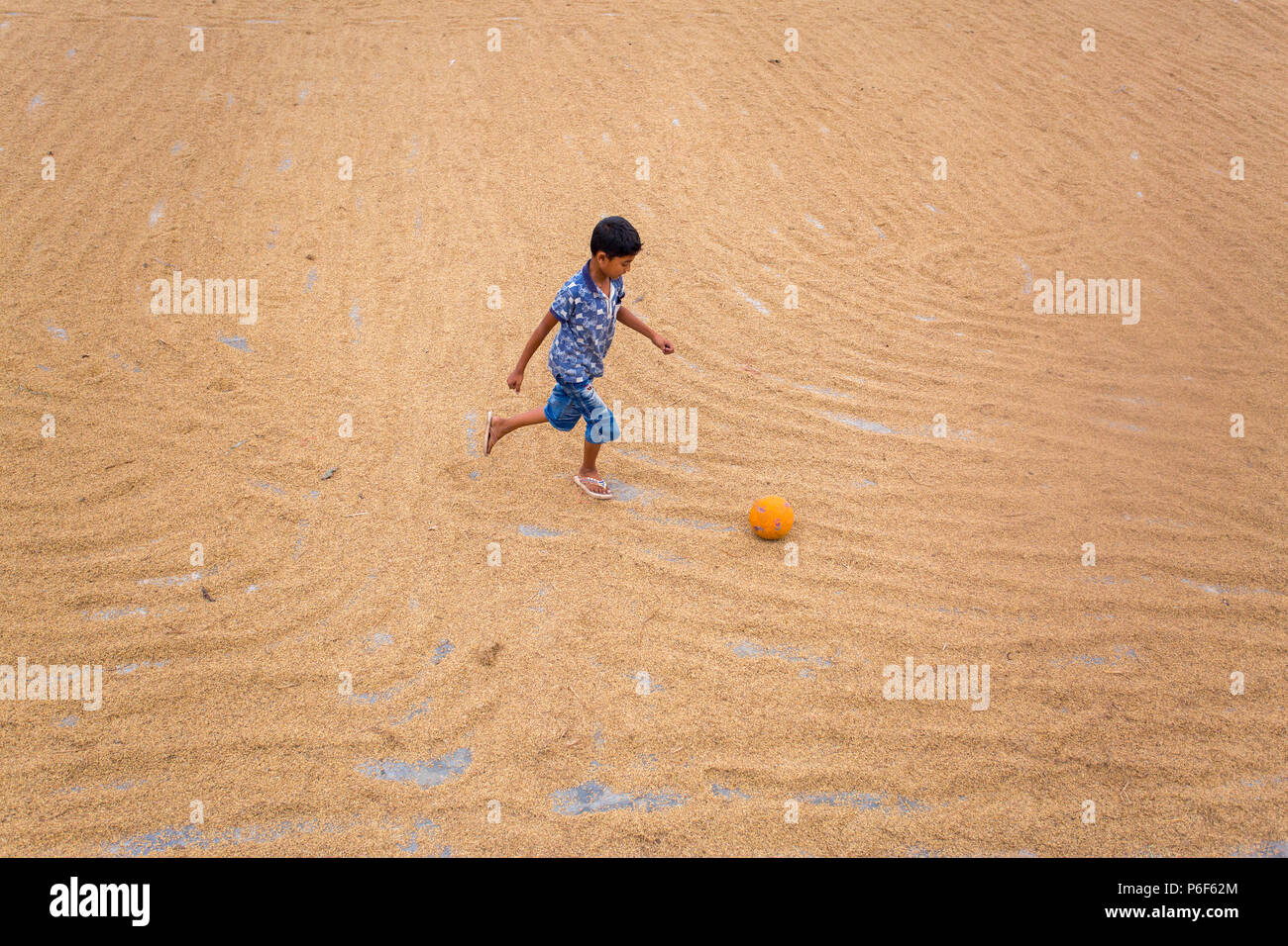Some of the children are playing football on dry paddy in the sun at ...