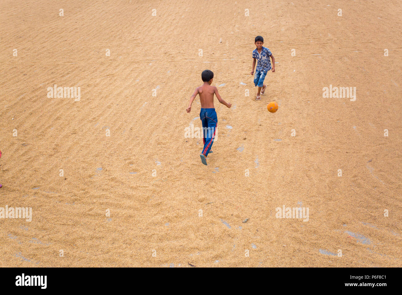 Some of the children are playing football on dry paddy in the sun at ...