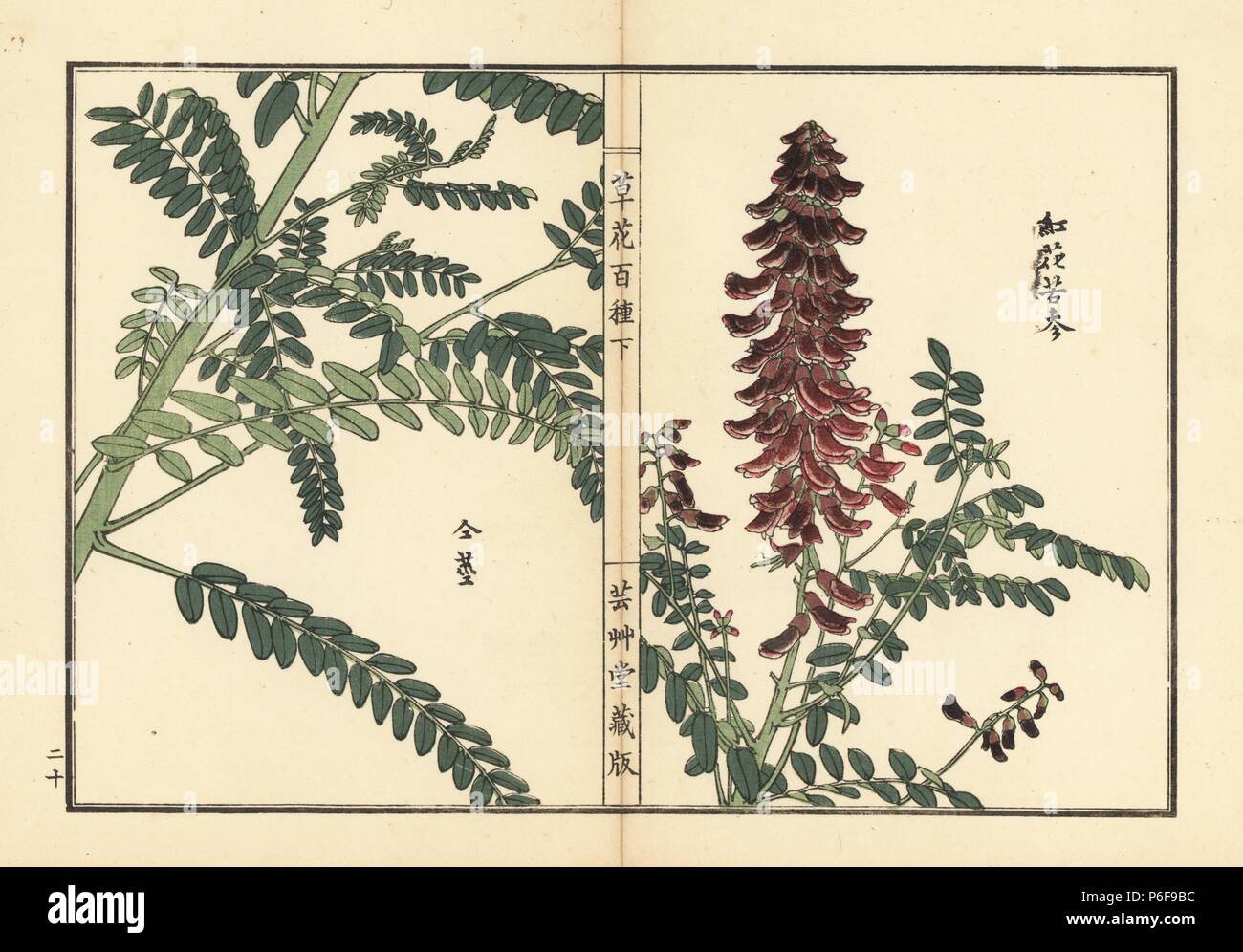 Kushen hi-res stock photography and images - Alamy