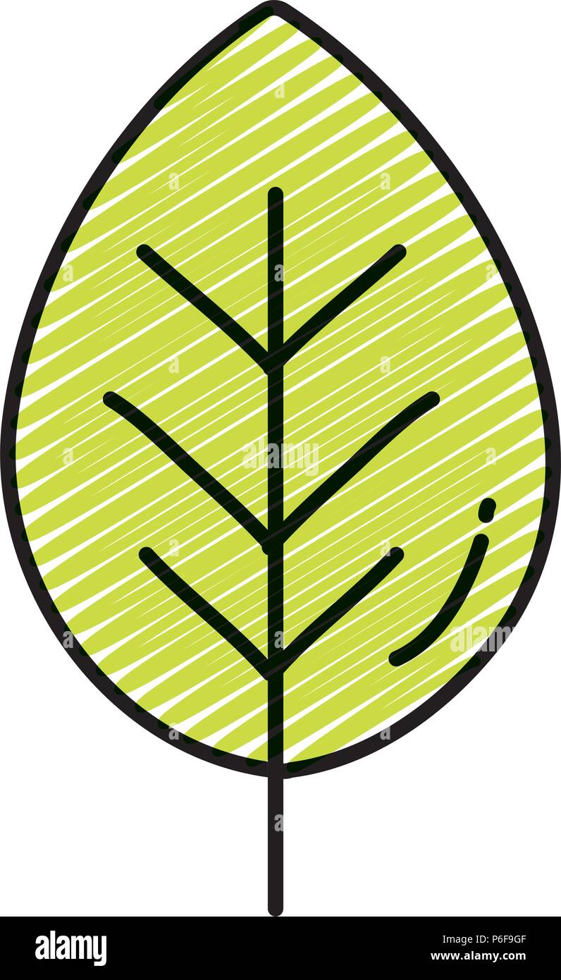 doodle nature botany lead exotic style vector illustration Stock Vector ...