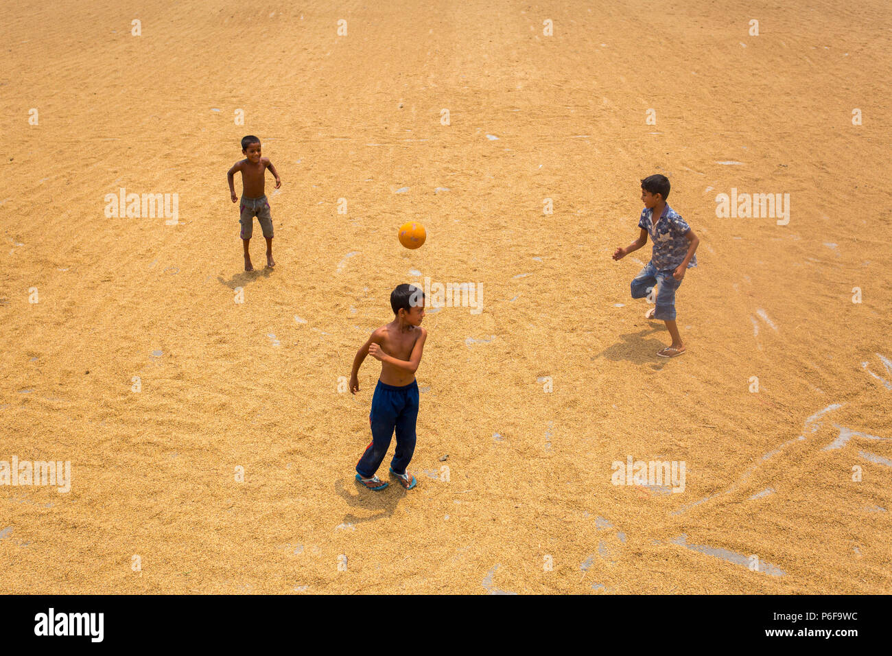 Some of the children are playing football on dry paddy in the sun at ...