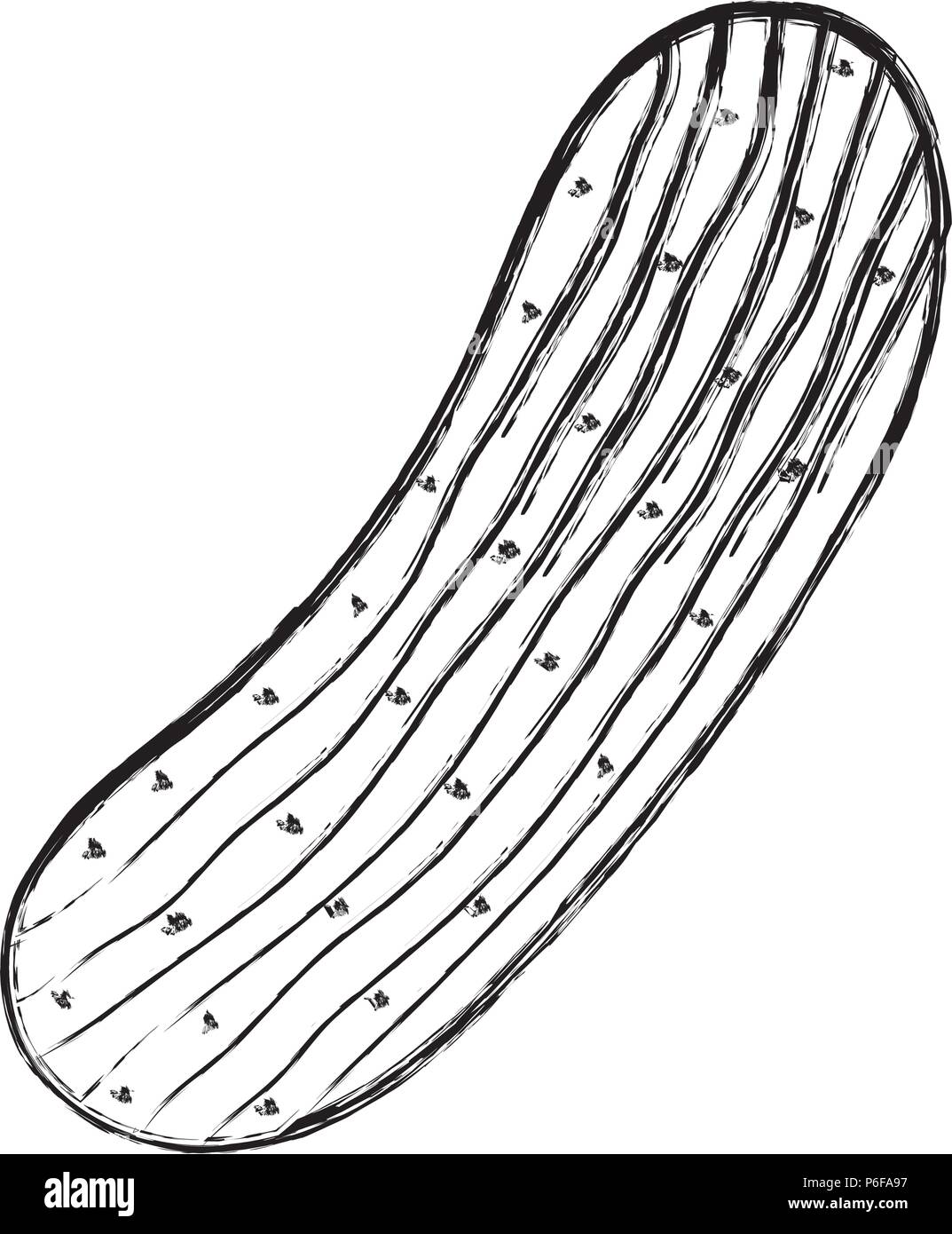 grunge fresh cucumber healthy nature vegetable vector illustration ...