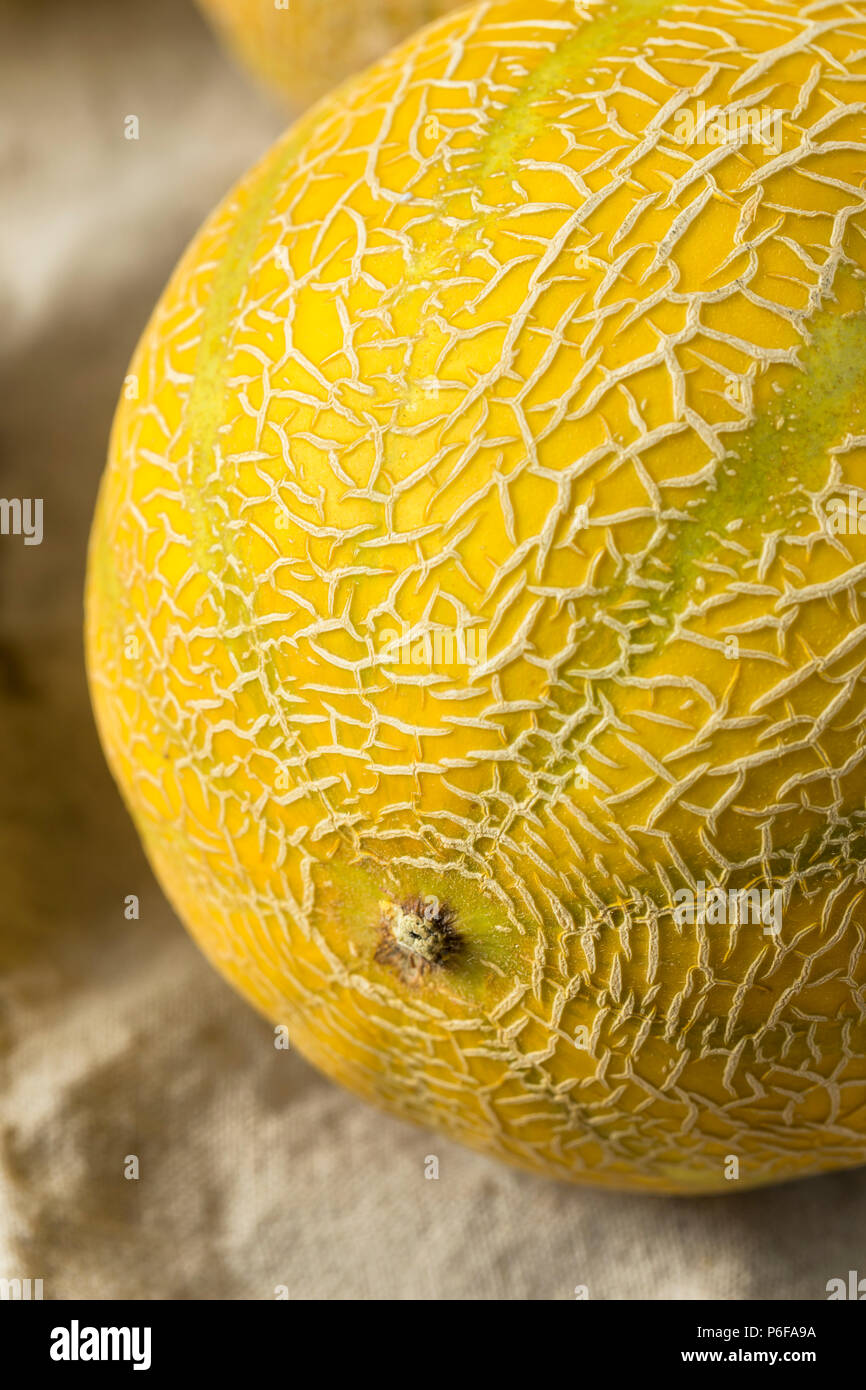 Lemon drop melon hi-res stock photography and images - Alamy