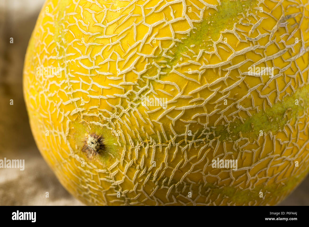 Raw Organic Lemon Drop Melon Ready to Eat Stock Photo - Alamy