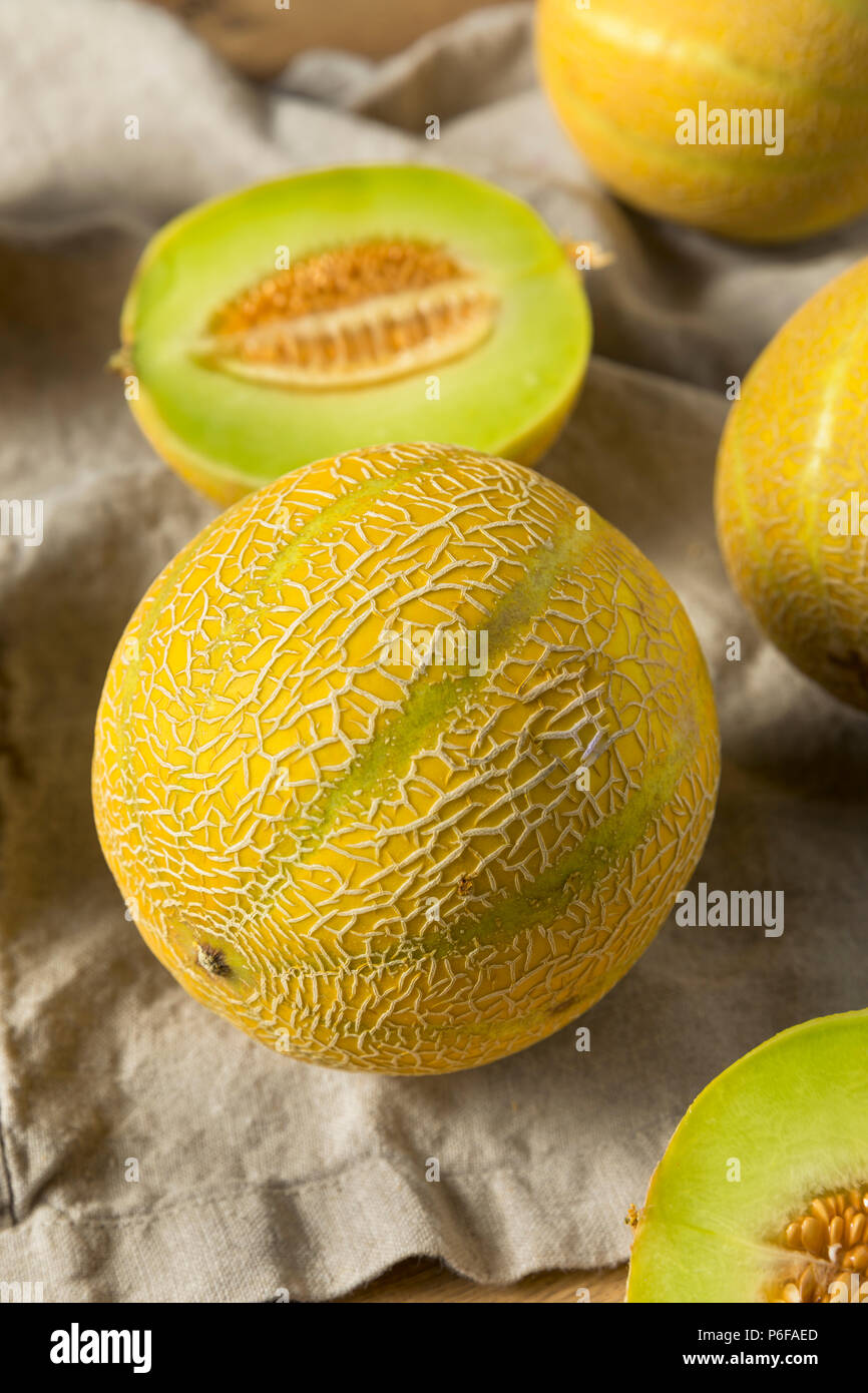 Raw Organic Lemon Drop Melon Ready to Eat Stock Photo - Alamy