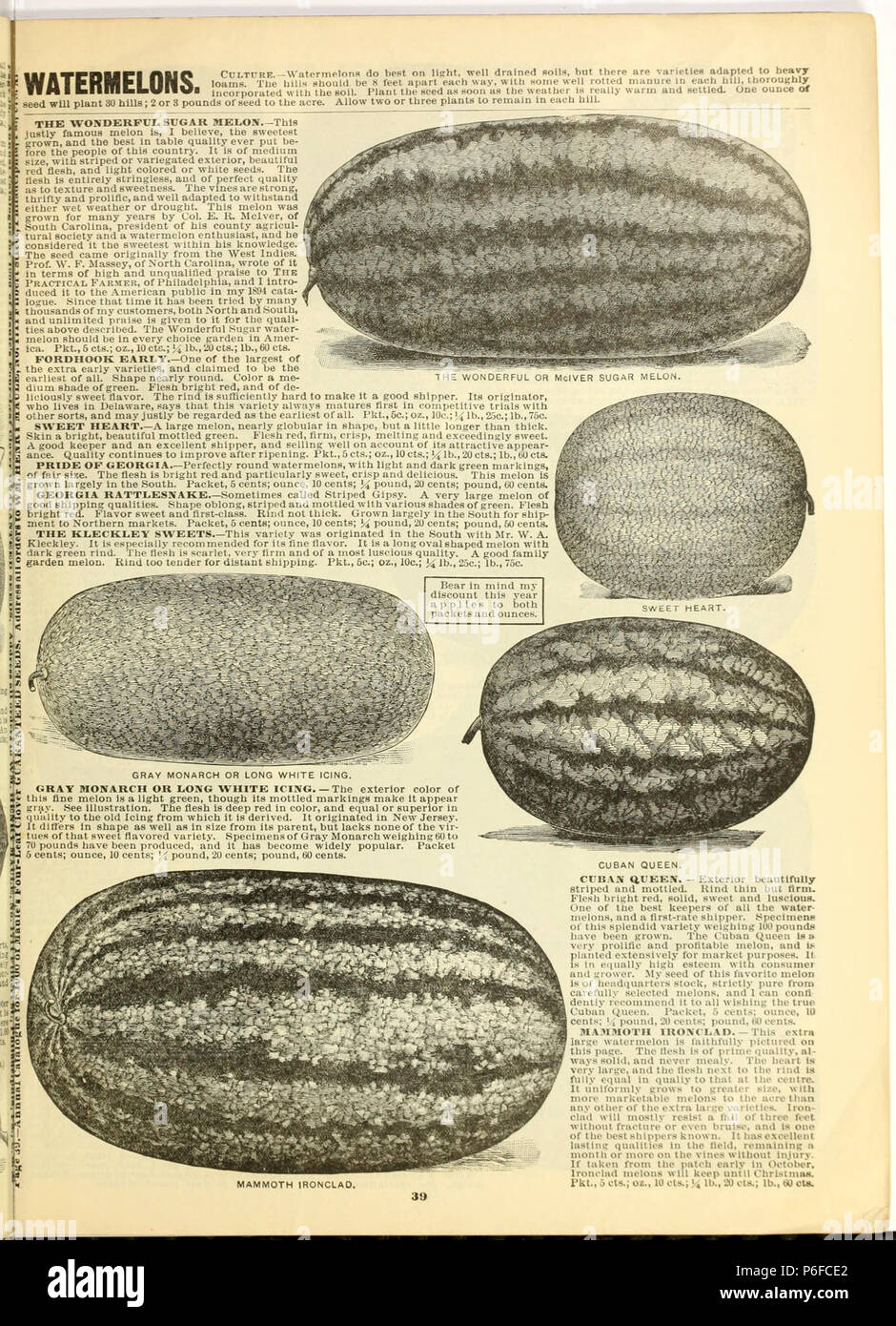 1900 Maule's seed catalogue (Page 39) BHL42541415 Stock Photo - Alamy