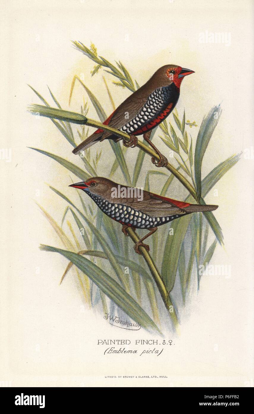 Arthur butler hi-res stock photography and images - Alamy