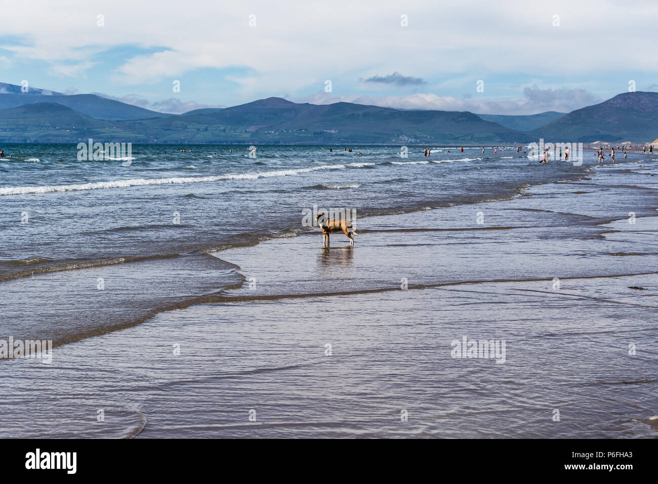 Rossbeigh Beach Co. Kerry Ireland Stock Photo - Alamy