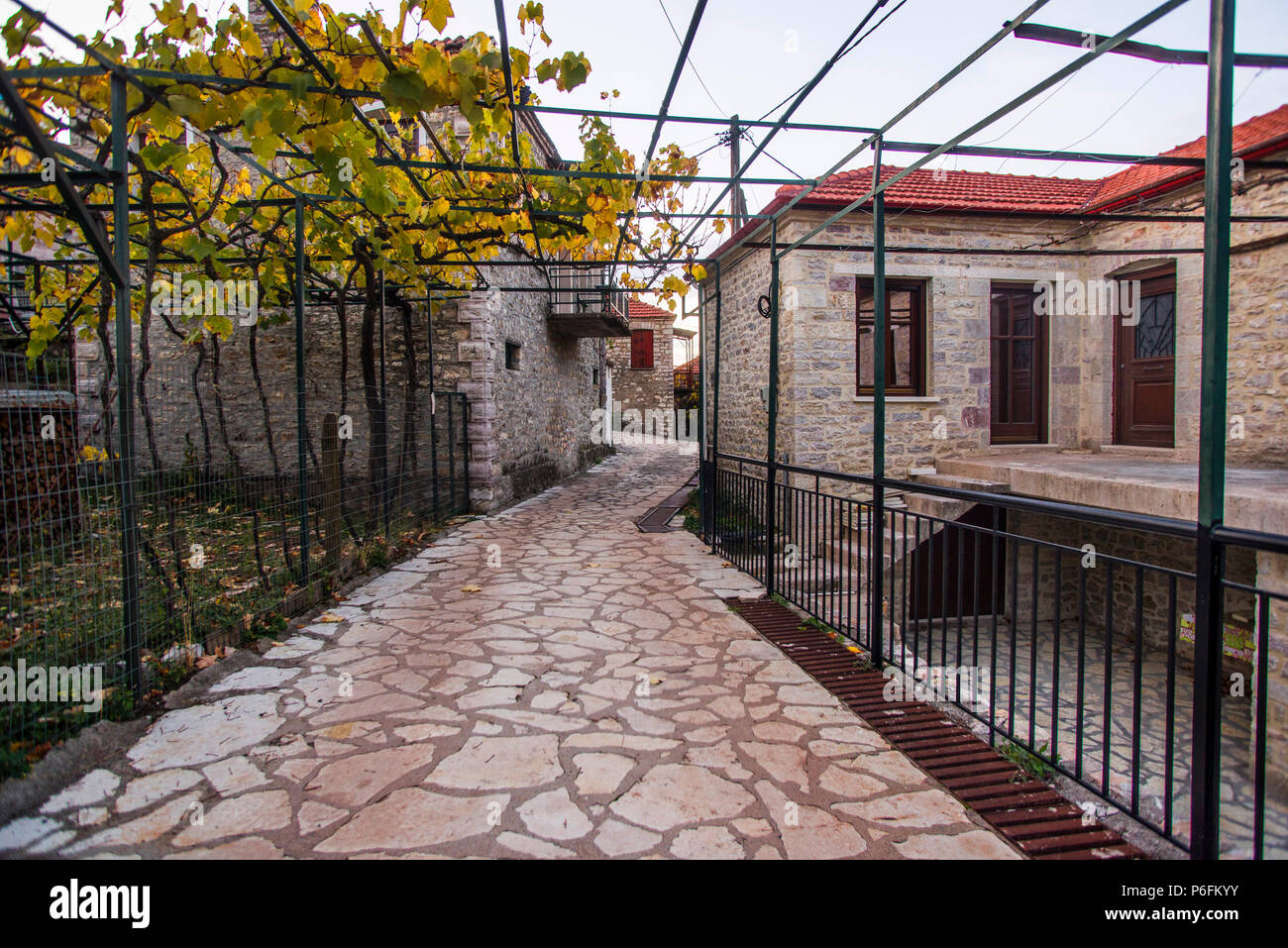 europe, greece, evritania, karpenisi, fidakia, village Stock Photo - Alamy