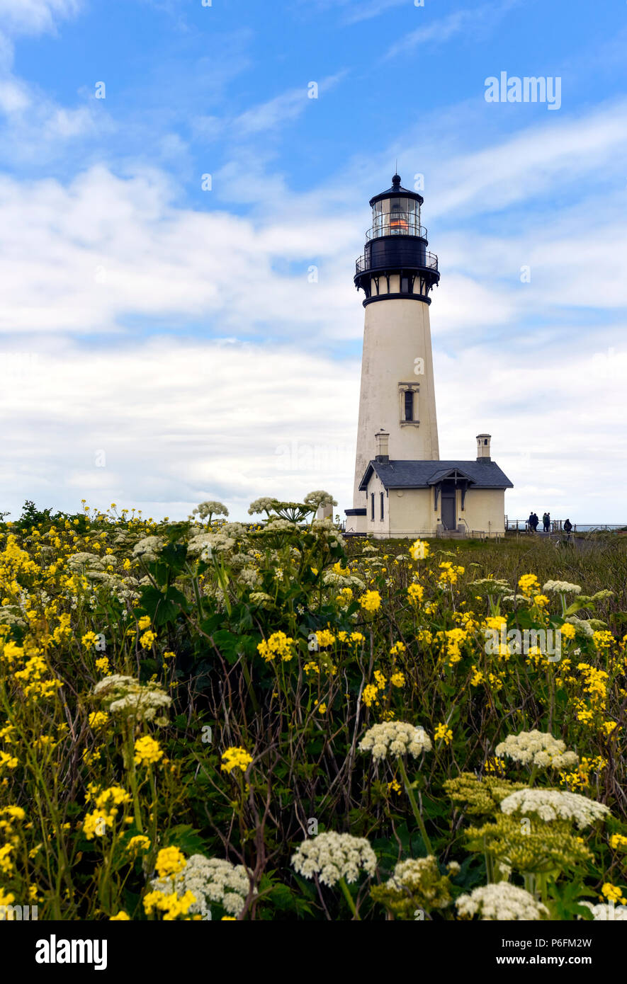 Yaquina Head Light, Lighthouse in Newport, Oregon Stock Photo - Alamy