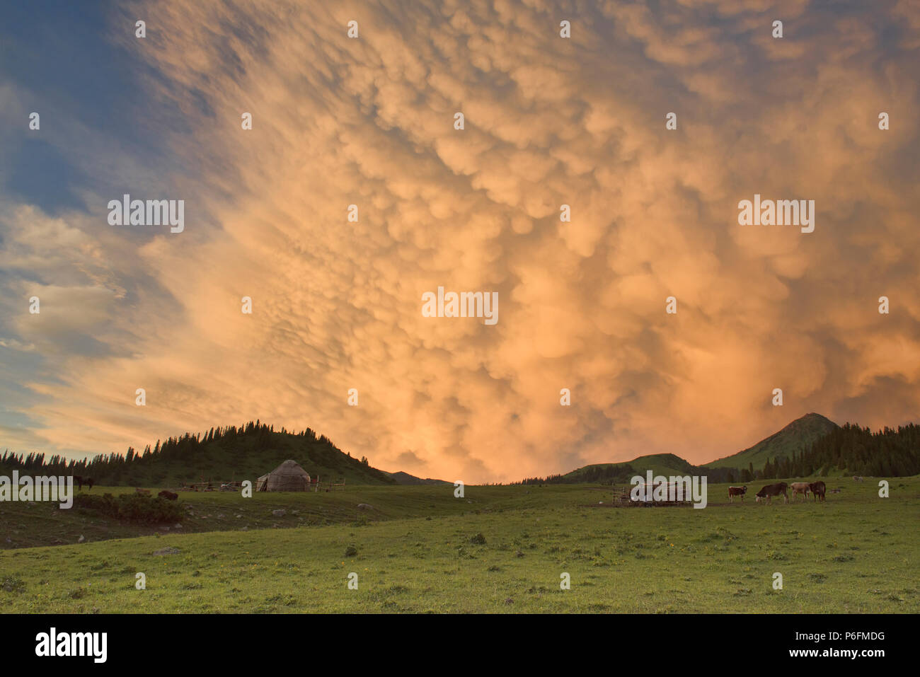 Magical alpine sunset, Keskenkija Trek, Jyrgalan, Kyrgyzstan Stock ...
