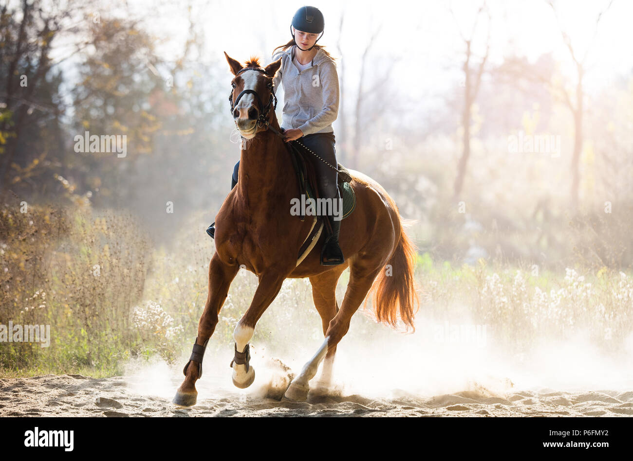 Young pretty girl riding a horse Stock Photo - Alamy
