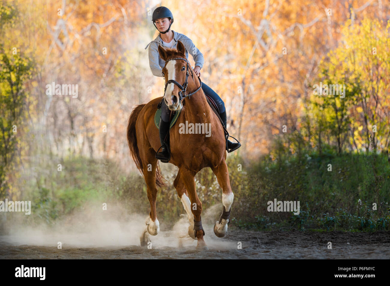 Young pretty girl riding a horse Stock Photo - Alamy