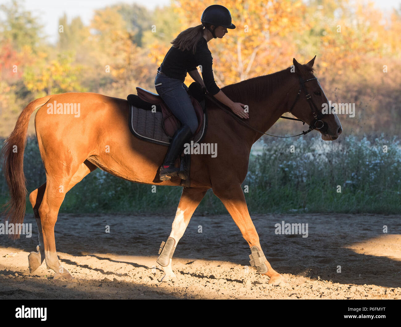 Young pretty girl - riding a horse with backlit leaves behind Stock ...