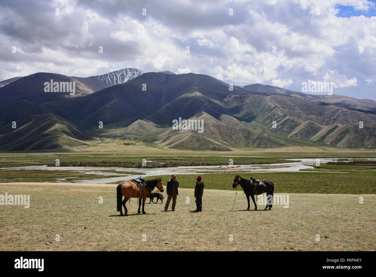 Horses on the high plains, Bayanbulak Grasslands, Xinjiang, China Stock ...