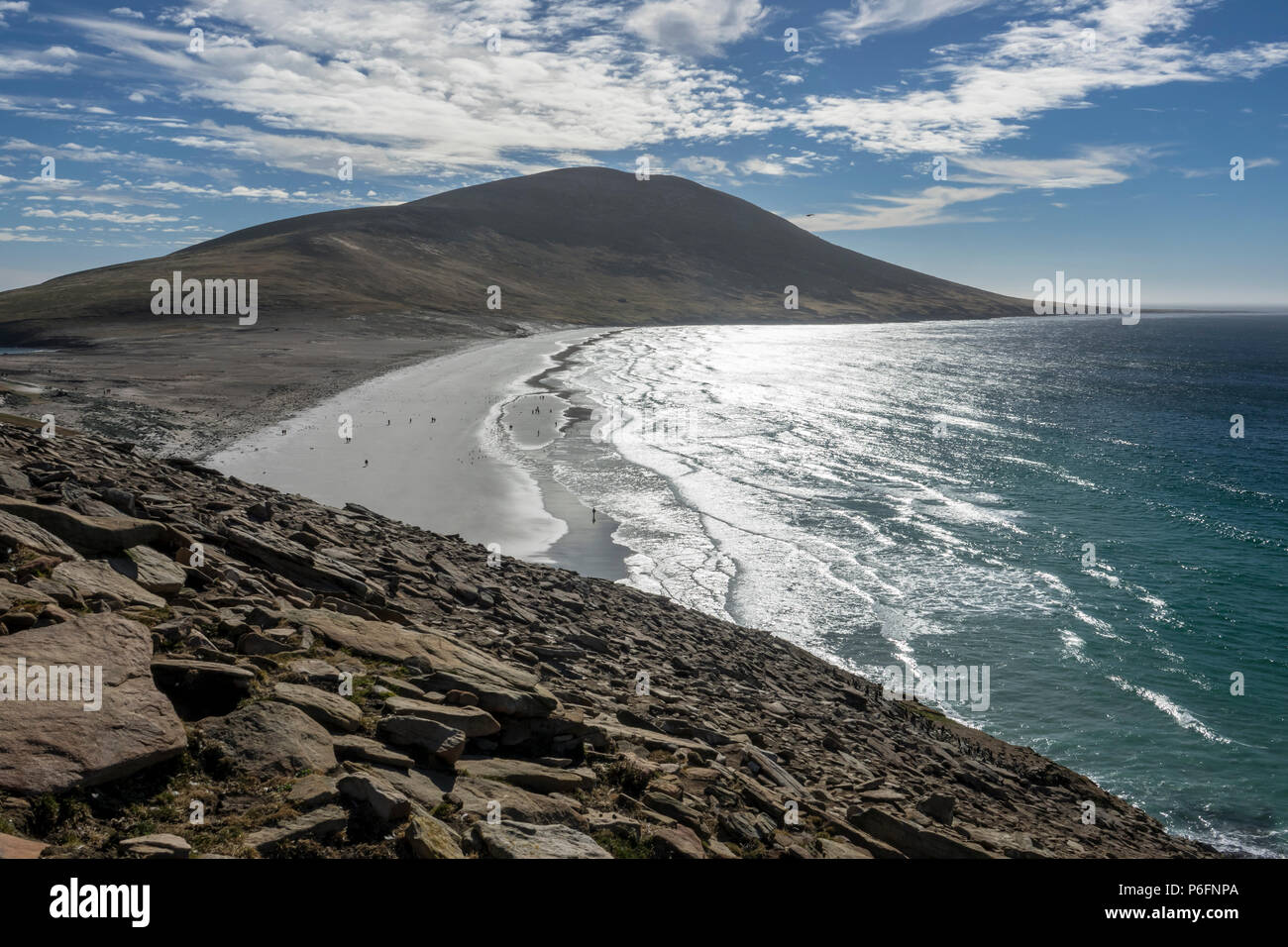 View over the white sandy beach with penguins arriving and departing ...
