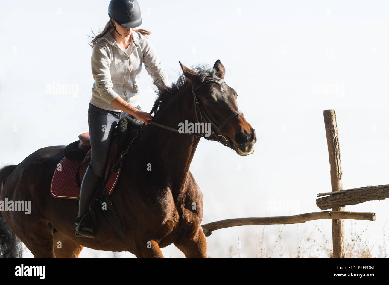 Young pretty girl - riding a horse with backlit leaves behind Stock ...