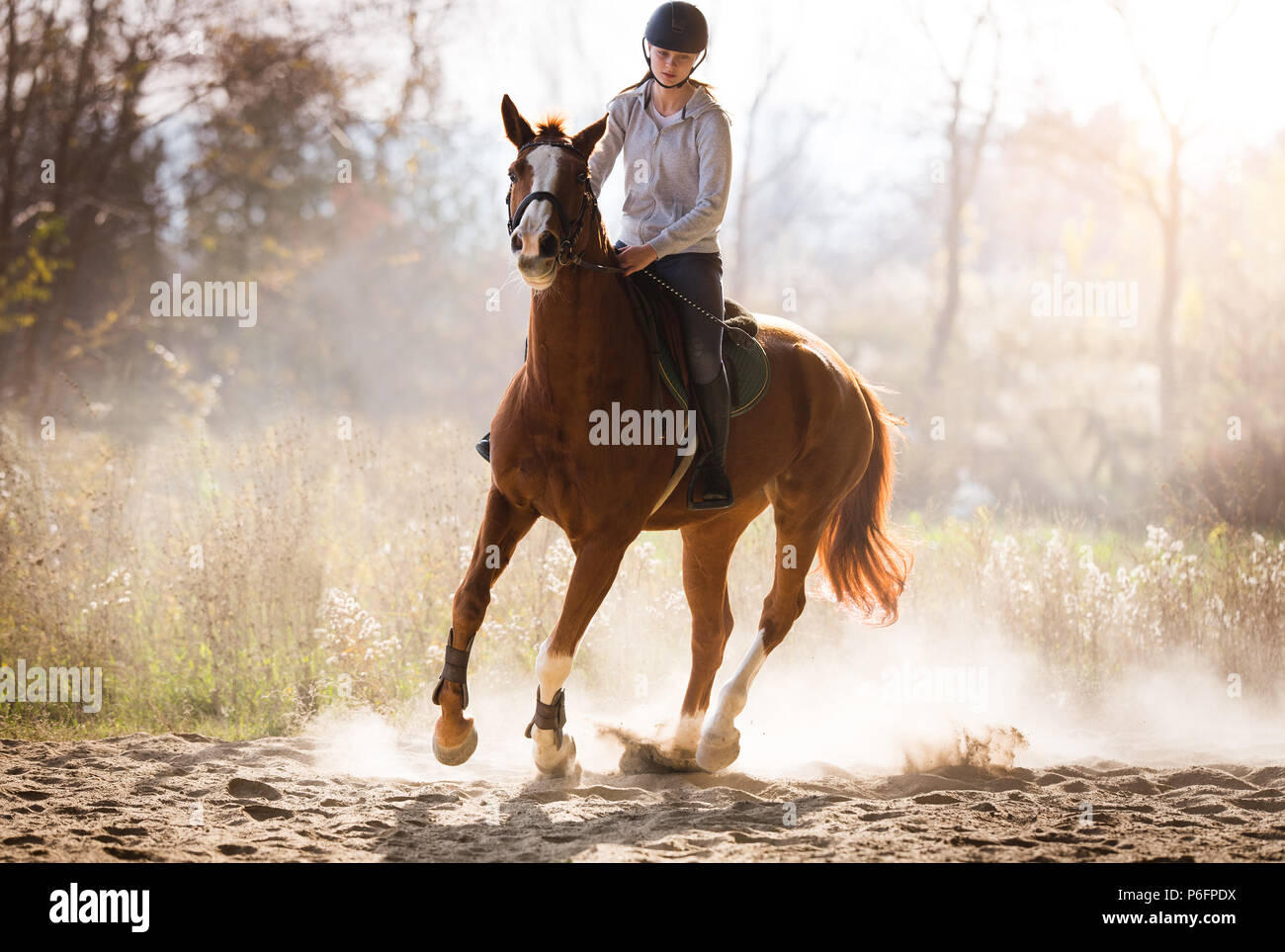 Young pretty girl - riding a horse with backlit leaves behind Stock ...