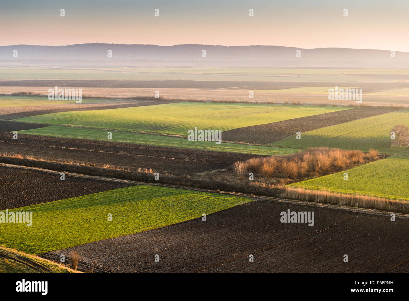 Agricultural landscape, arable crop field Stock Photo - Alamy