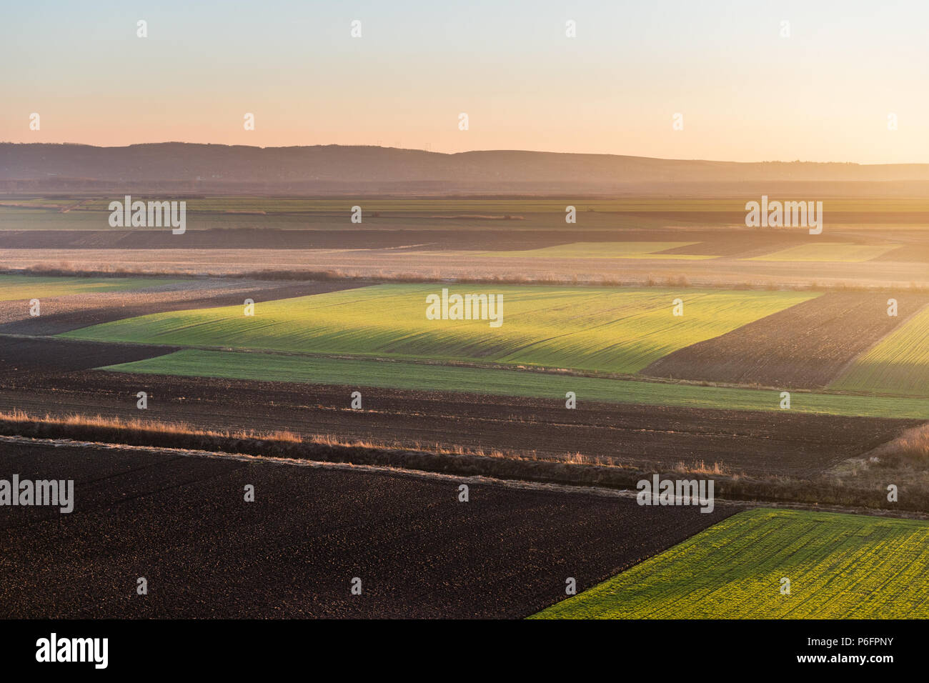 Agricultural landscape, arable crop field Stock Photo - Alamy