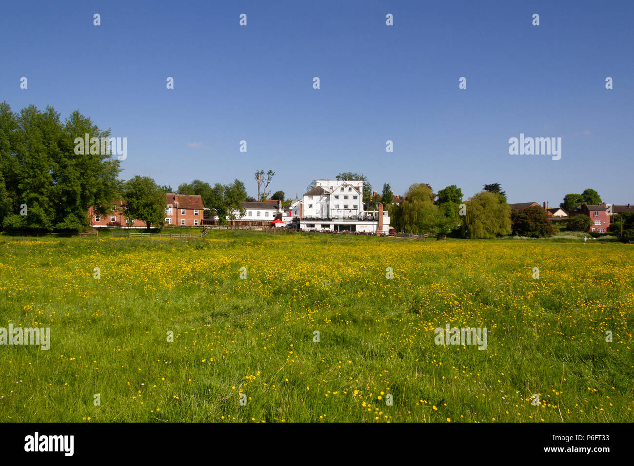 Water Meadows, Sudbury, Suffolk, UK Stock Photo - Alamy