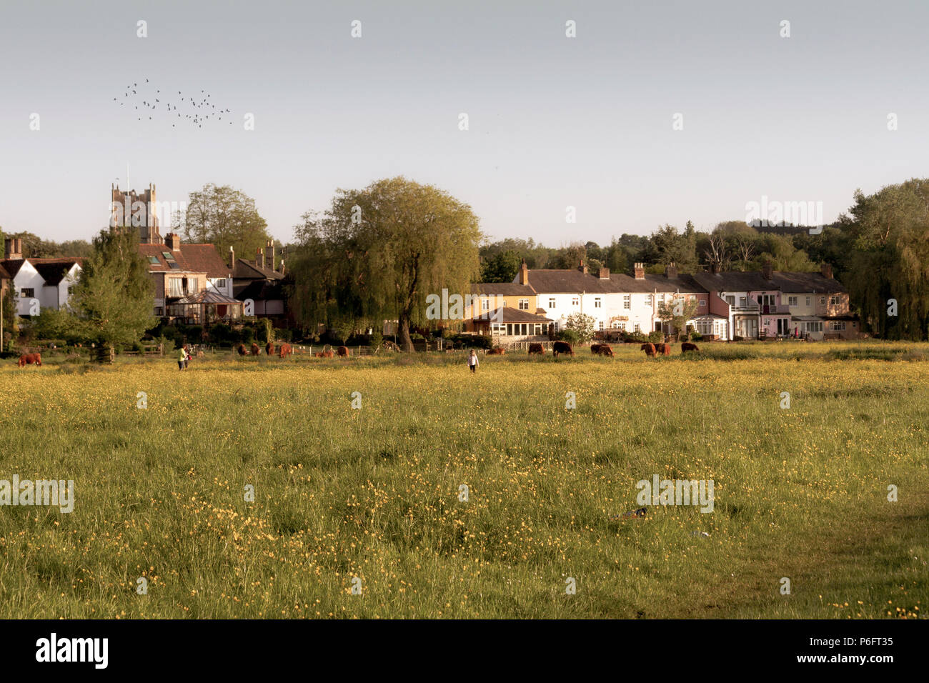 Sudbury suffolk river stour hi-res stock photography and images - Alamy
