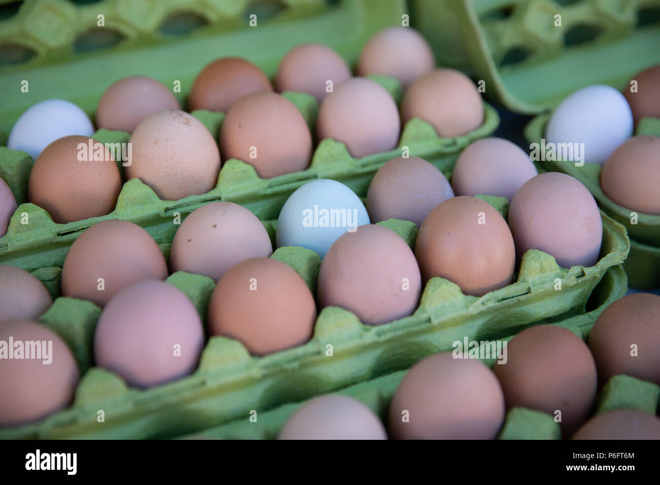 Farmers free range eggs hi-res stock photography and images - Alamy
