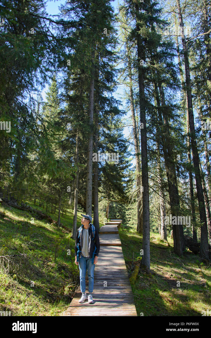 Northern chinese scenery hi-res stock photography and images - Alamy