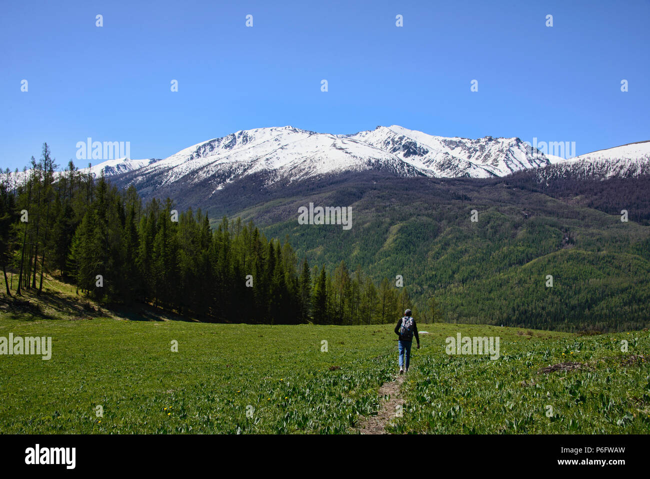 Trekking in northern wilderness, Kanas Lake National Park, Xinjiang ...