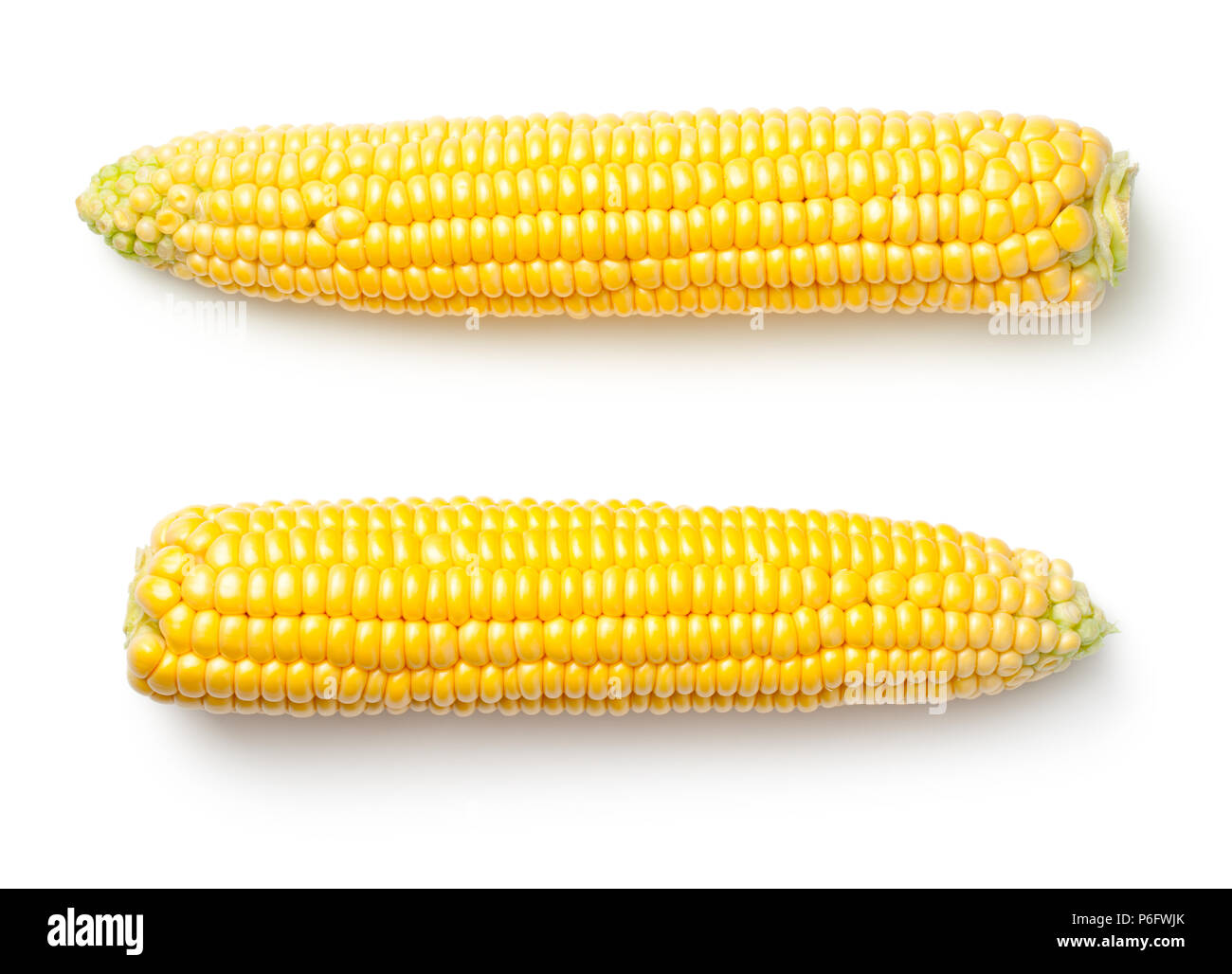 Corn ears isolated on white background. Top view Stock Photo - Alamy