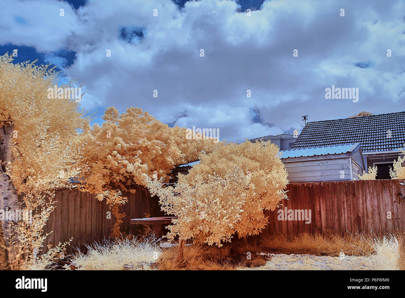 Landscape in false colors taken with an infrared modified camera Stock ...
