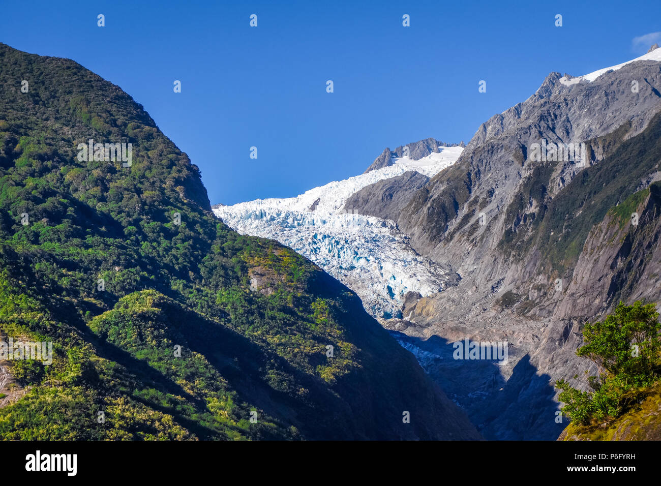 Franz joseph glacier walk hi-res stock photography and images - Alamy