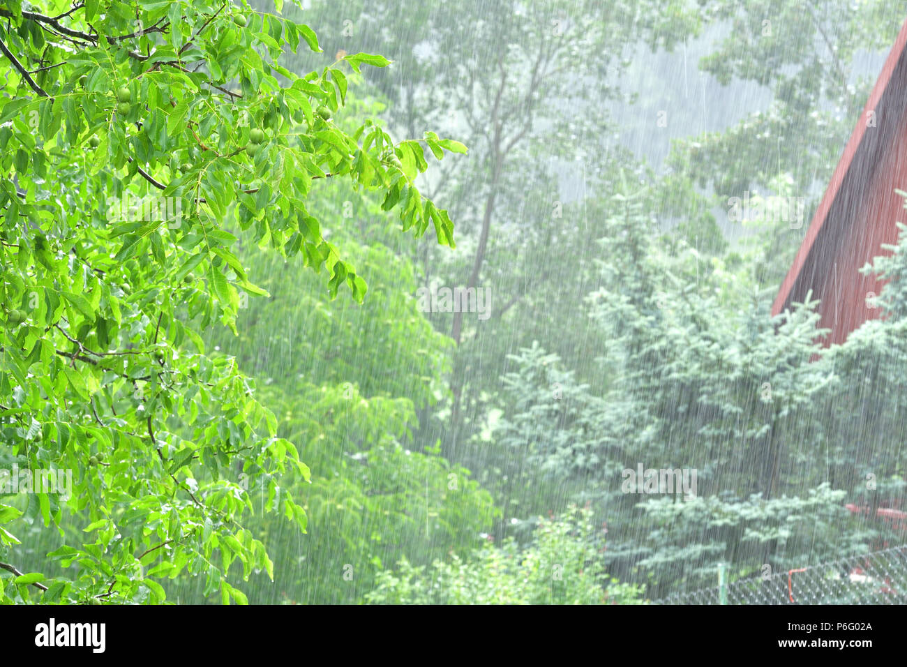 cold rainy weather in summer on holiday cottage cold rainy weather in ...