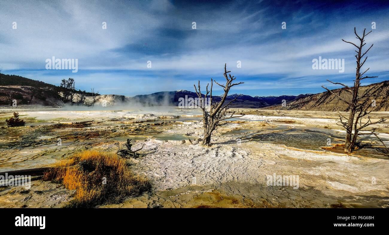 Scorched earth hi-res stock photography and images - Alamy