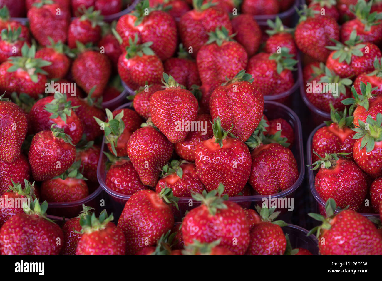 Trays of strawberries hi-res stock photography and images - Alamy