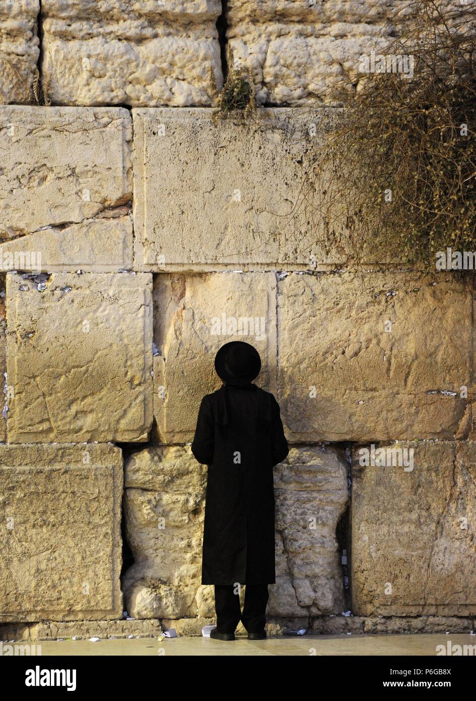 Haredi Judaism. Orthodox Judaism. A Jew praying at the Western Wall ...
