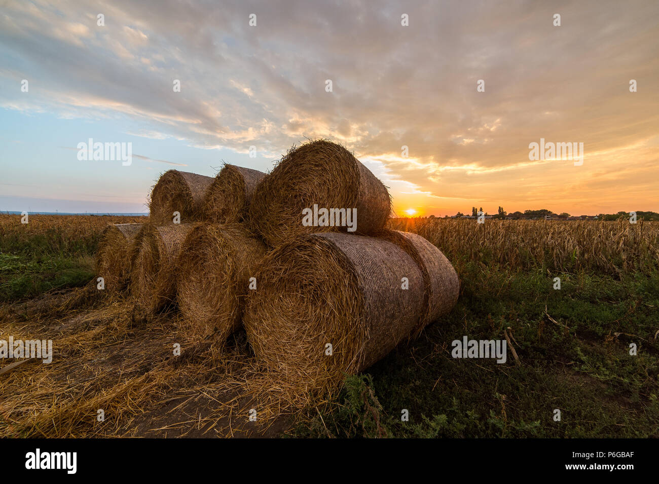 Roll bales hi-res stock photography and images - Alamy