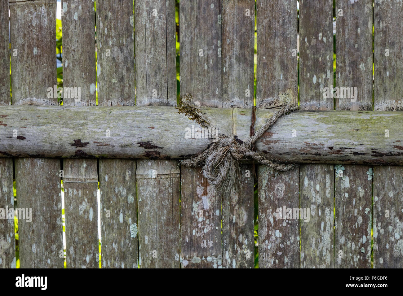 Bamboo fence ancient temple hi-res stock photography and images - Alamy