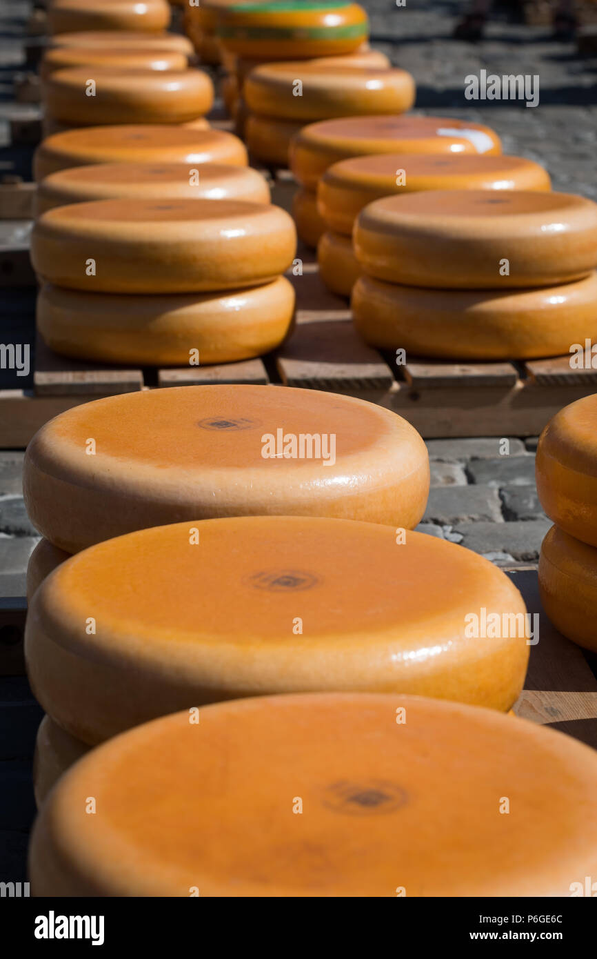 Stacked cheese at the Gouda cheese market, Netherlands Stock Photo - Alamy