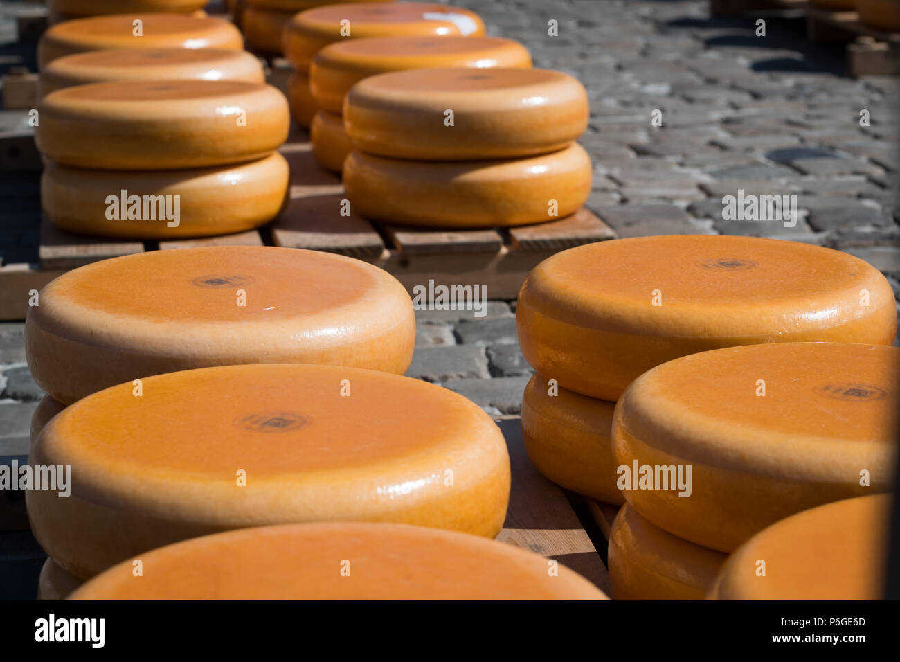 Stacked cheese at the Gouda cheese market, Netherlands Stock Photo - Alamy
