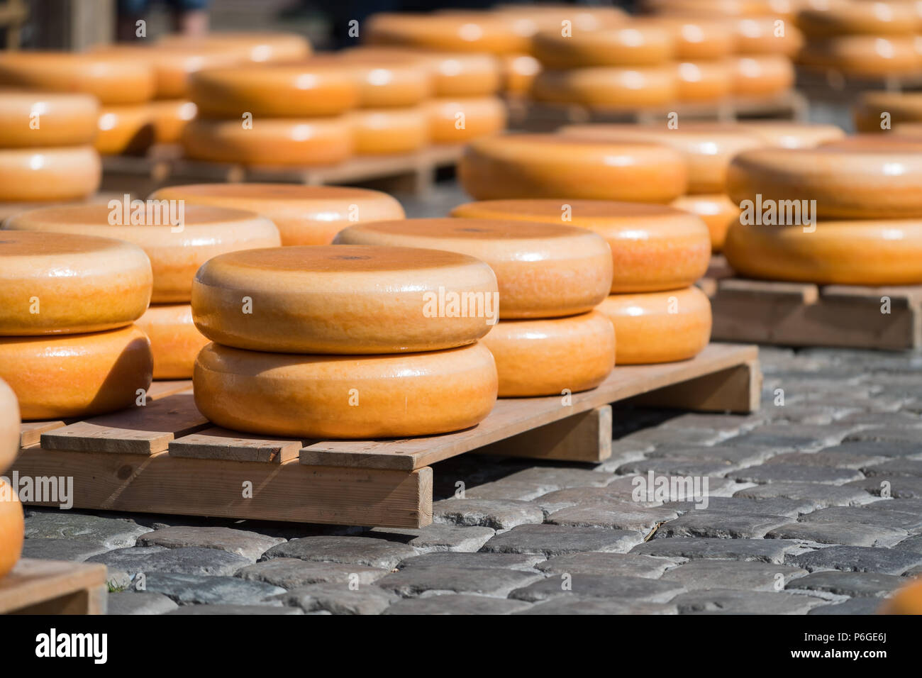 Stacked cheese at the Gouda cheese market, Netherlands Stock Photo - Alamy