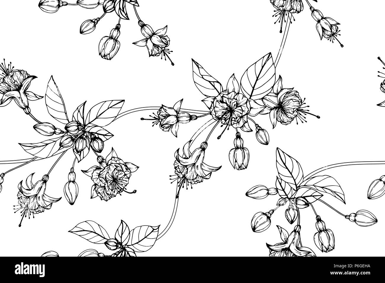 Fuchsia Black and White Stock Photos & Images - Alamy