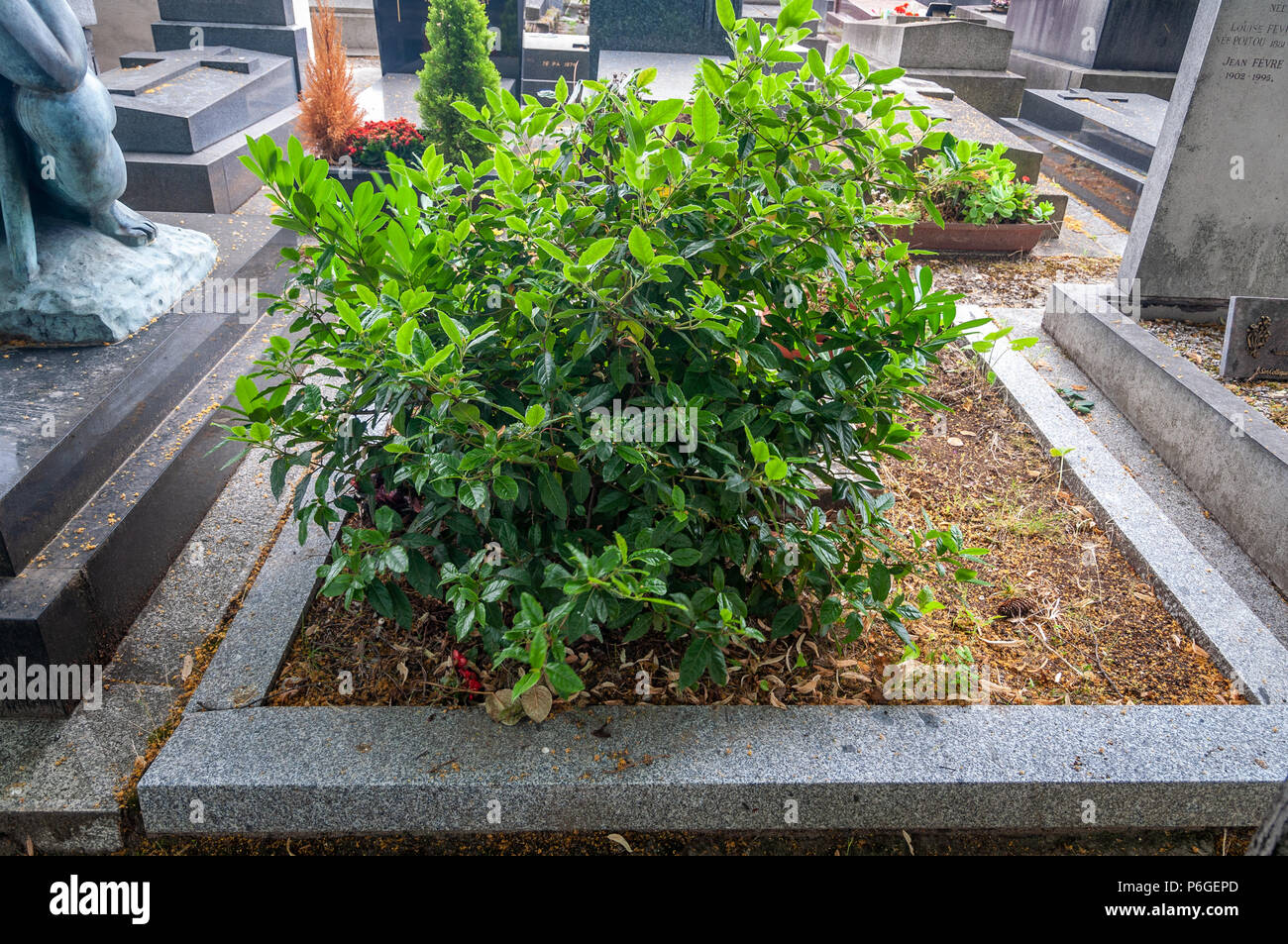 Tristan tzara grave hi-res stock photography and images - Alamy