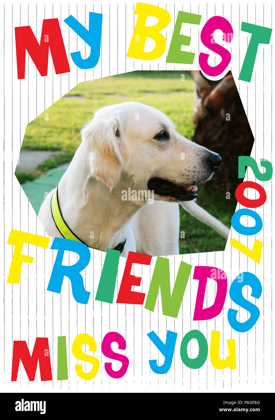 Cute dog photo print design, tee graphic, poster Stock Photo - Alamy