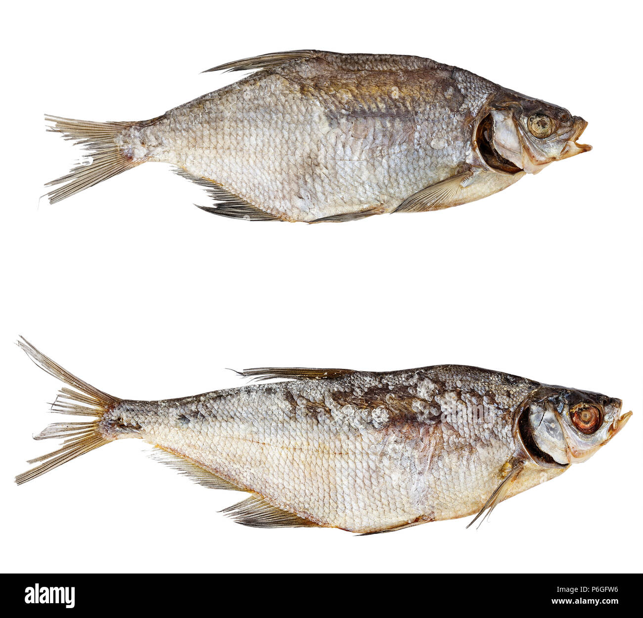 dried fish on white background, isolated, traditional snack for beer ...