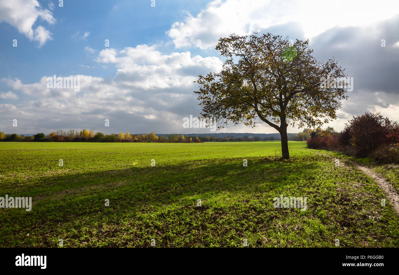 Lonely environment hi-res stock photography and images - Alamy