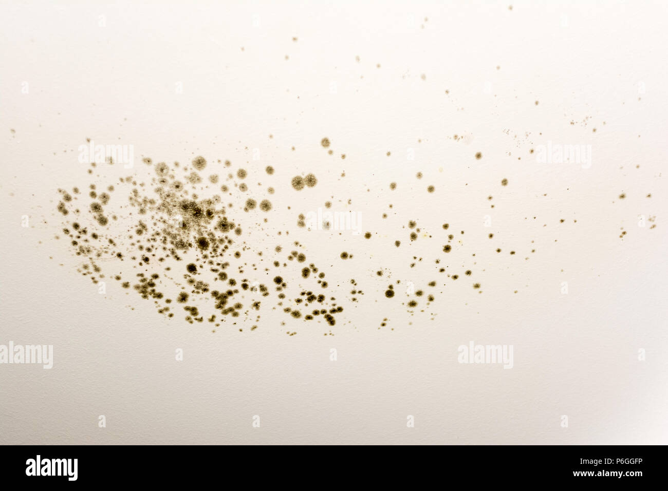 Spores material hi-res stock photography and images - Alamy