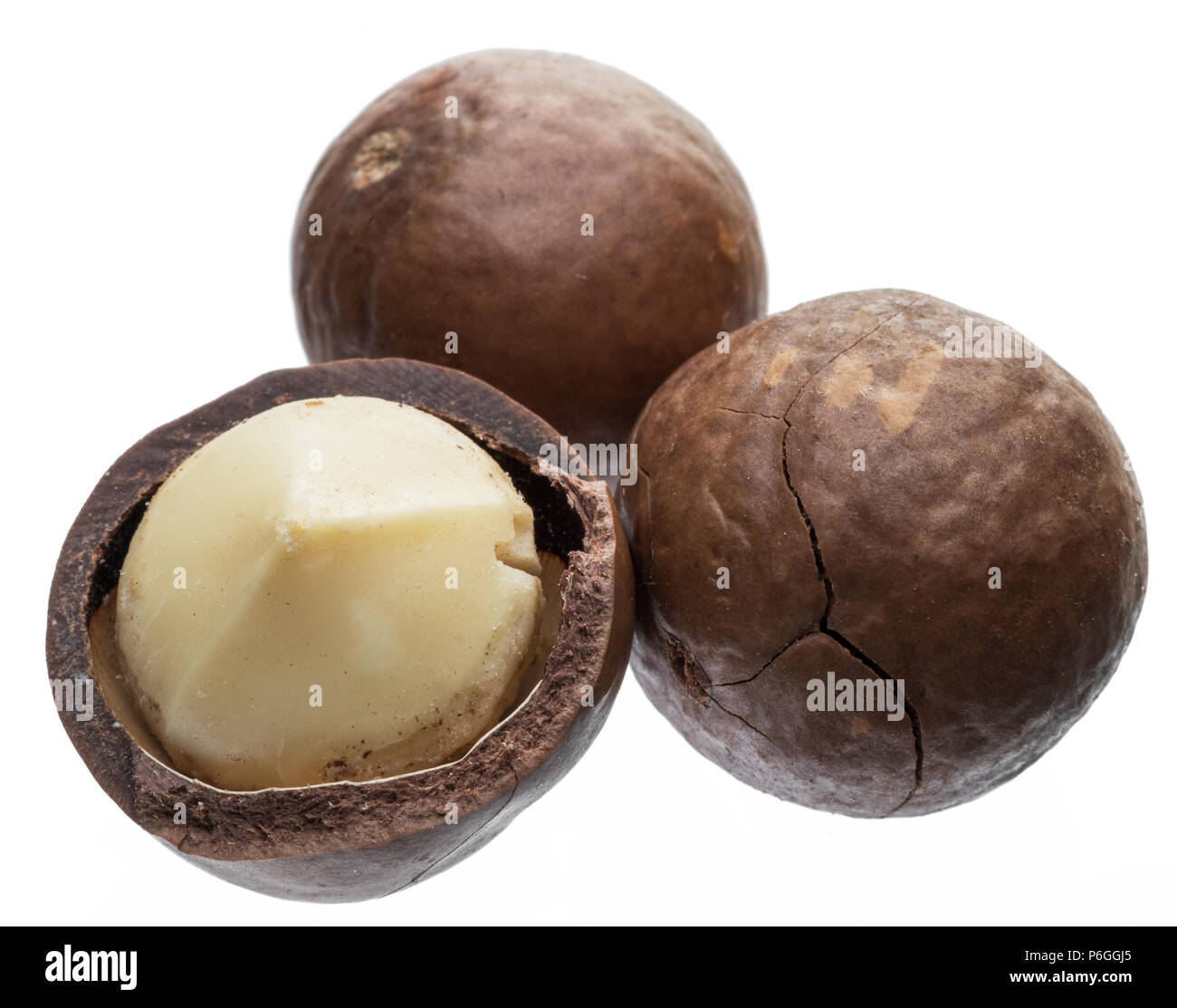 Macadamia nuts or bush nuts isolated on white background Stock Photo ...